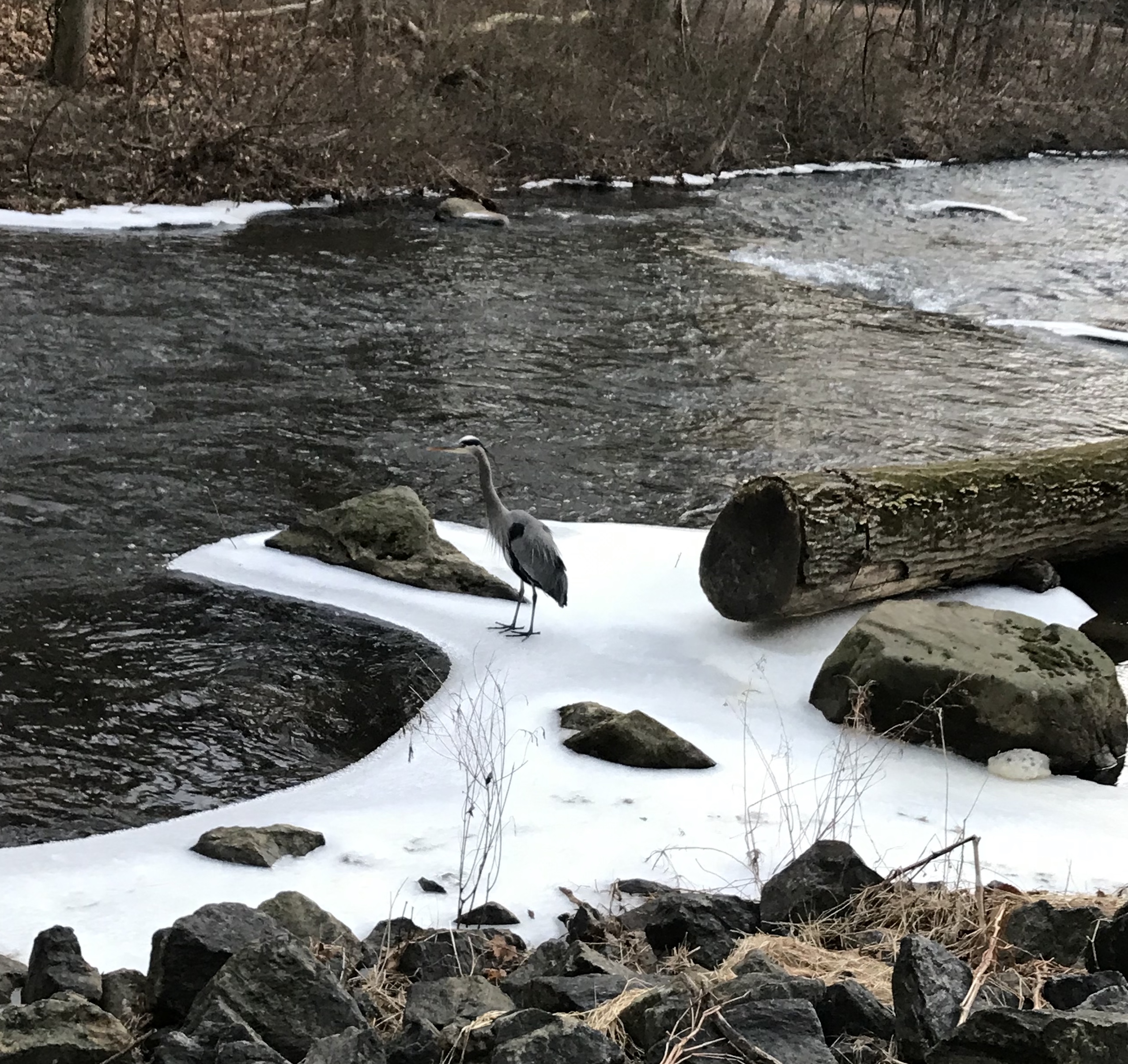Friends of Ridley Creek State Park - 2019 Photo Contest